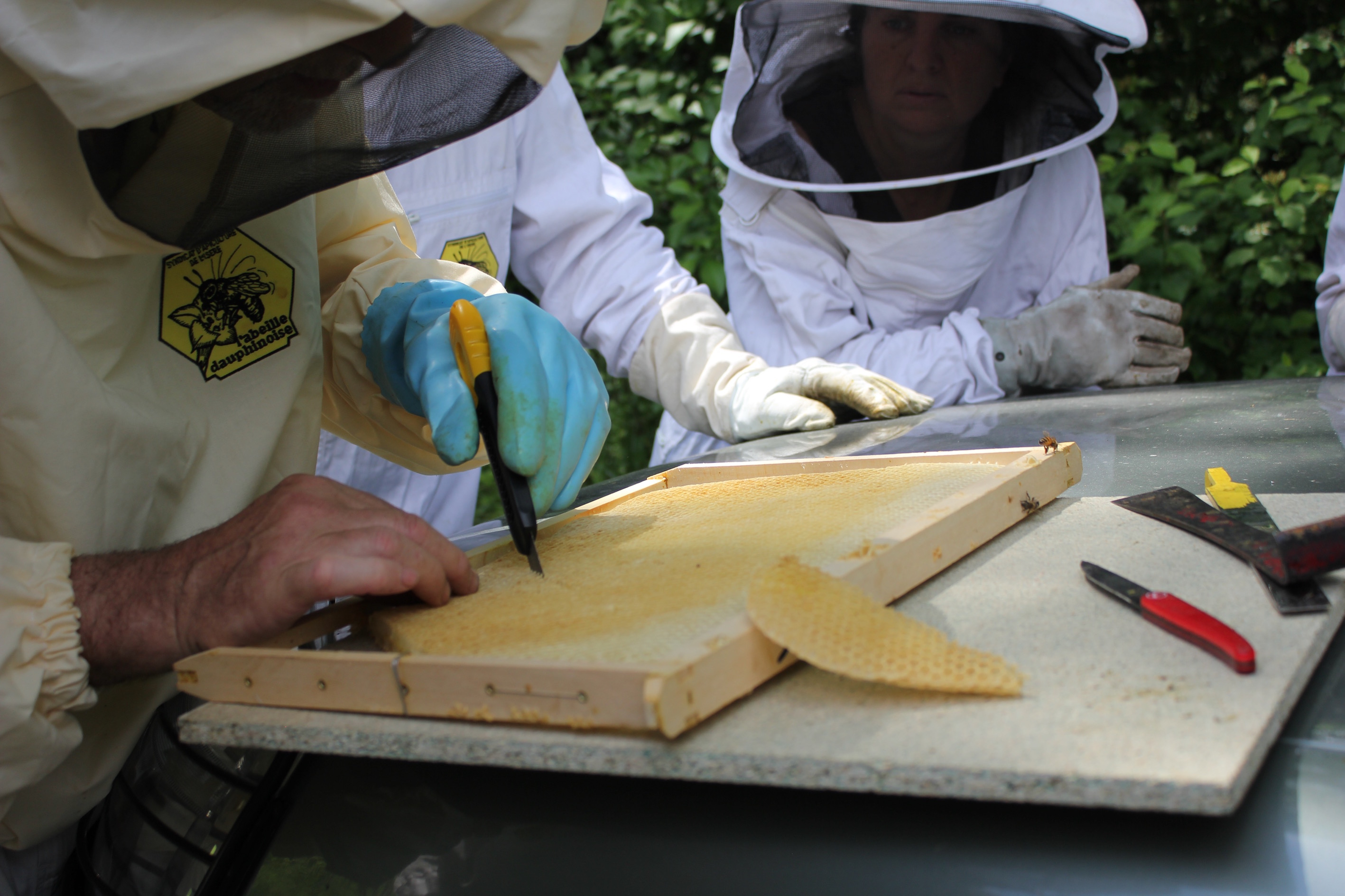 Comment développer son cheptel apicole | L'Abeille Dauphinoise